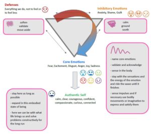 The Change Triangle: How to Understand and Navigate Your Emotions - It ...